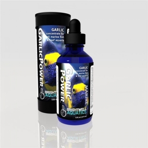 Brightwell Garlic Power Concentrated Garlic Supplement