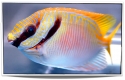 Rabbit Fish